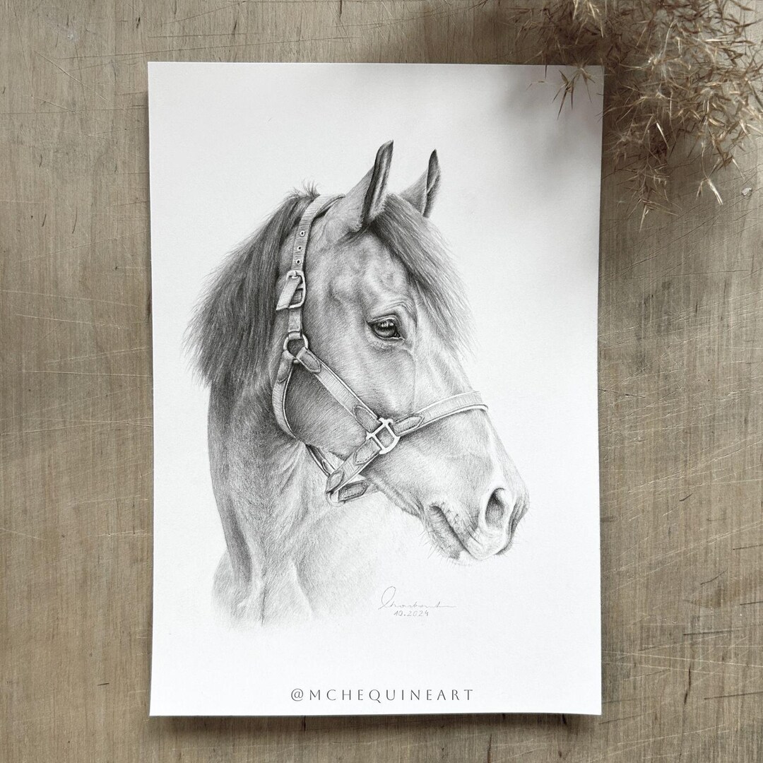 Pony Portrait Original Pencil Drawing Fine Art Print Handrawn Horse ...