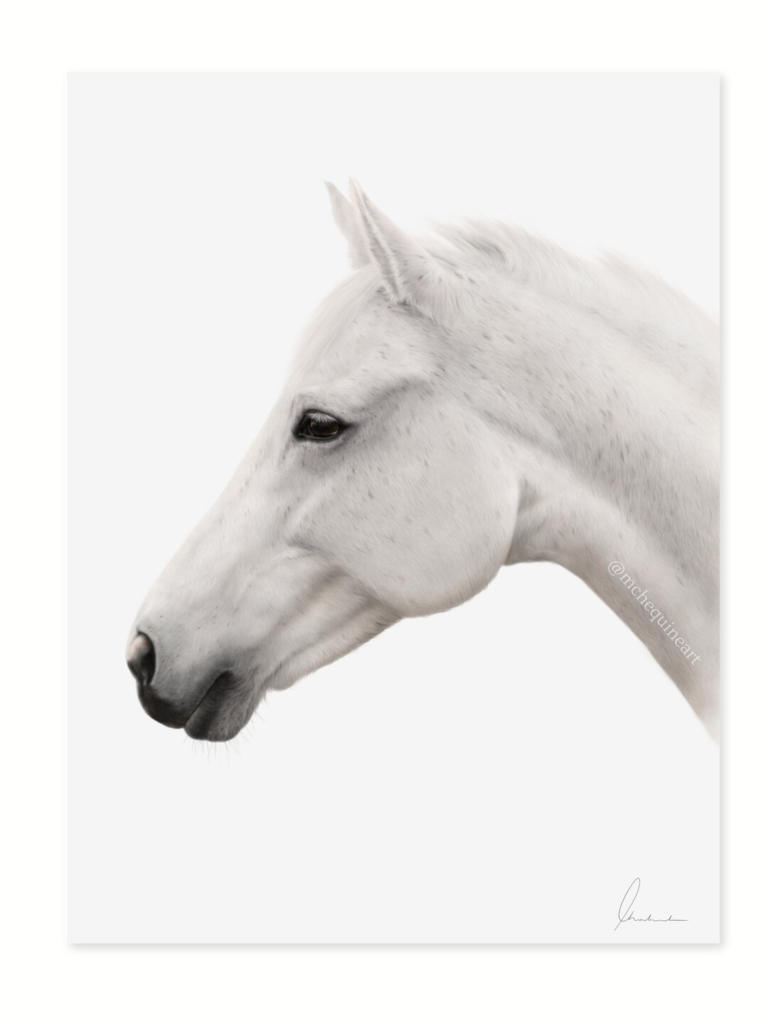 Custom Horse Portrait, Handrawn Horse Painting, Equine Digital Drawing ...