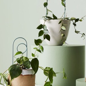 Black Metal Plant Stake With Loop Feature - Etsy