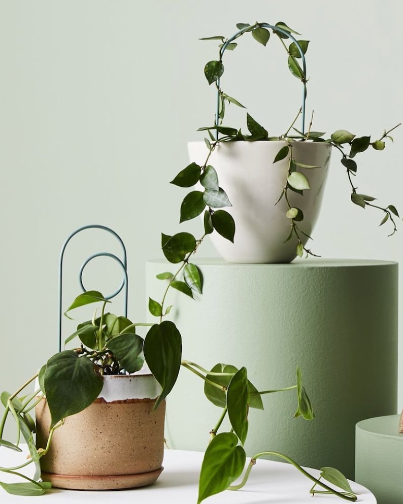 Black Metal Plant Stake With Loop Feature - Etsy