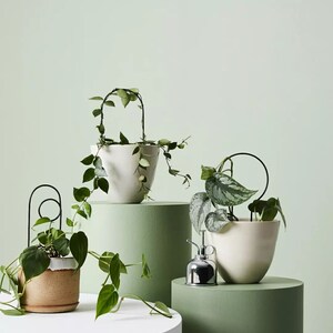 Black Metal Plant Stake With Loop Feature - Etsy