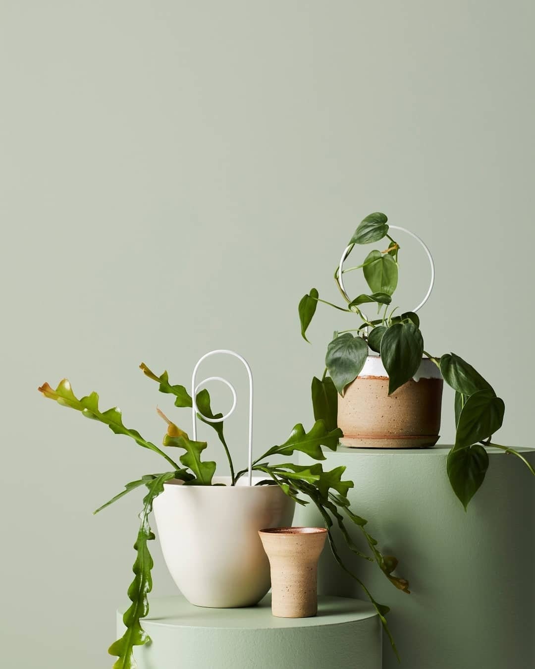 Black Metal Plant Stake With Loop Feature - Etsy