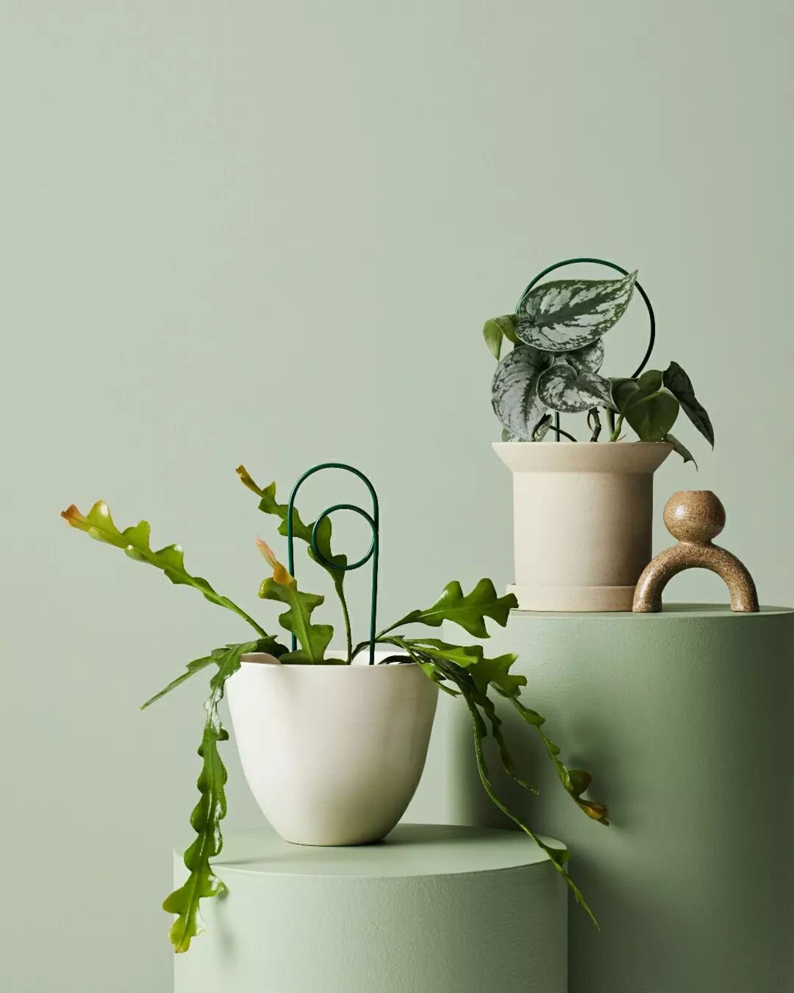 Black Metal Plant Stake With Loop Feature - Etsy