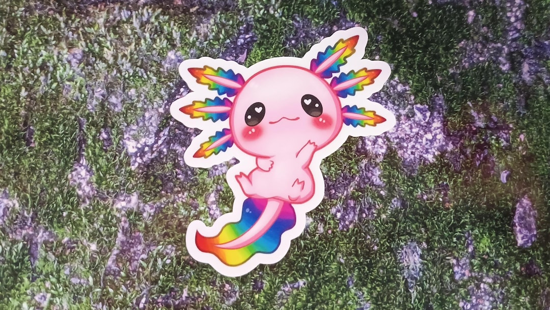 Pride Axolotl Waterproof Vinyl Sticker - Etsy