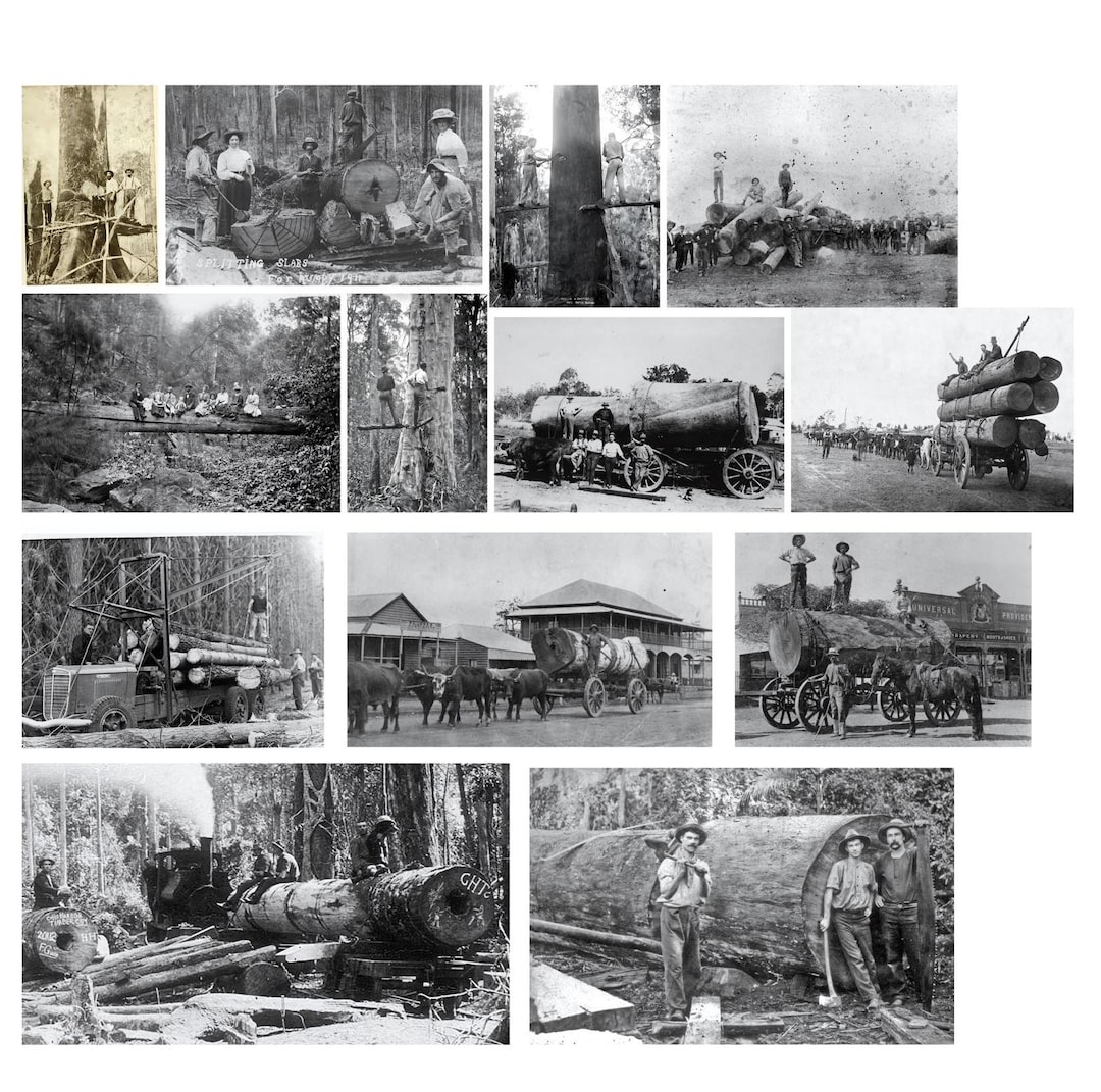 Entire Collection of Forestry Australia Digital Prints, Logging Digital ...