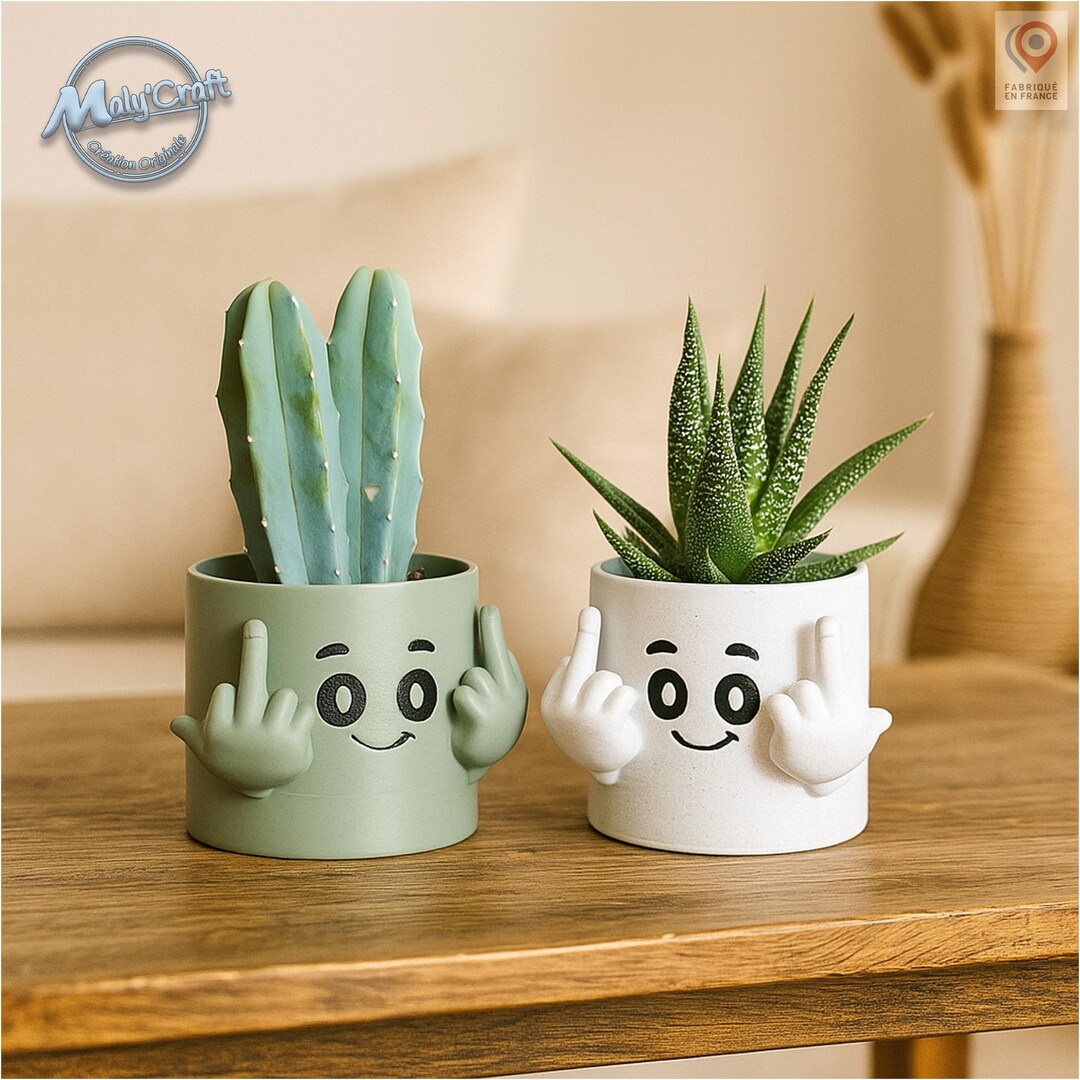 Funny Middle Finger Planter – Original Maly’craft 3D Design – Geek ...