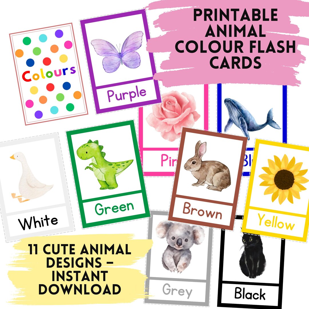 Printable Animal Flash Cards – Montessori Colour Recognition ...