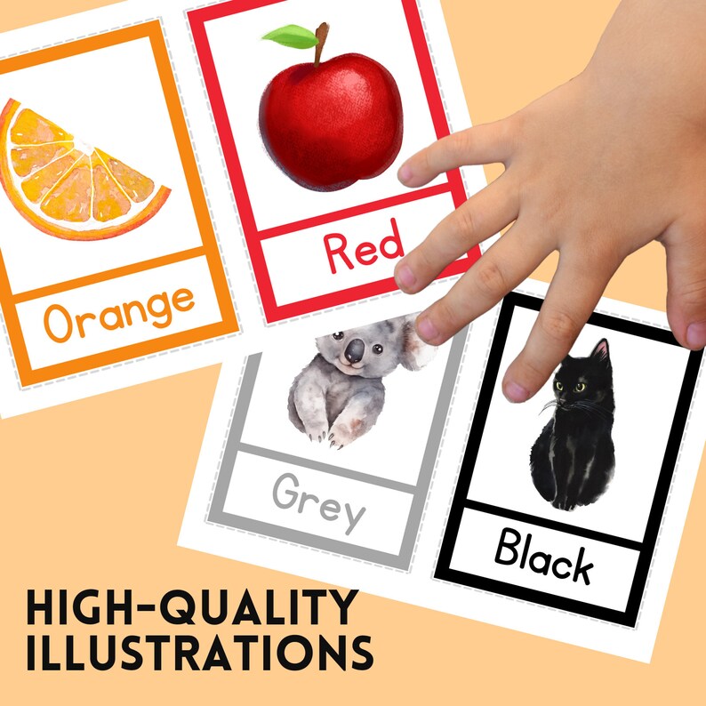 Montessori Color Flashcards L Educational Cards for Preschool L Pre-k ...