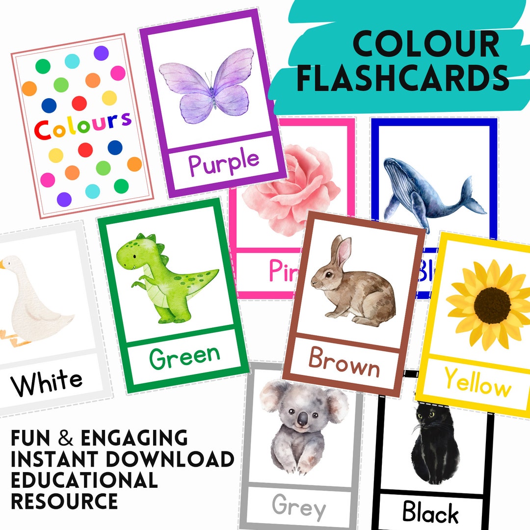Montessori Color Flashcards L Educational Cards for Preschool L Pre-k ...