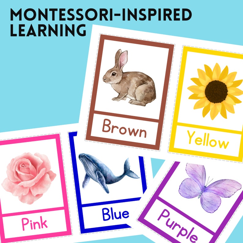 Montessori Color Flashcards L Educational Cards for Preschool L Pre-k ...