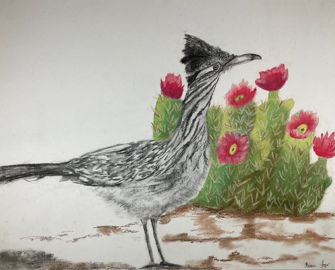 A Print of a Roadrunner Drawing Standing in Front of a Cholla Cactus ...