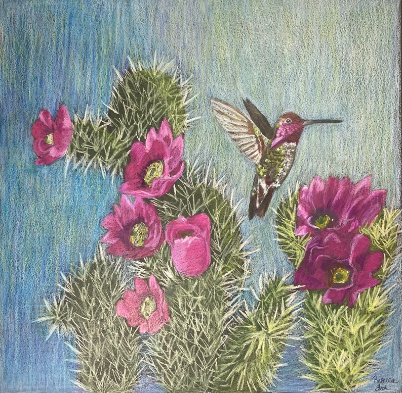 Framed Hummingbird Art Print, Cholla Cactus, Pink Flowers - Etsy