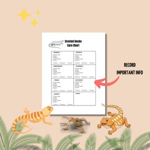 Crested Gecko Care Chart, Instant Download Reptile Log, Reptile ...
