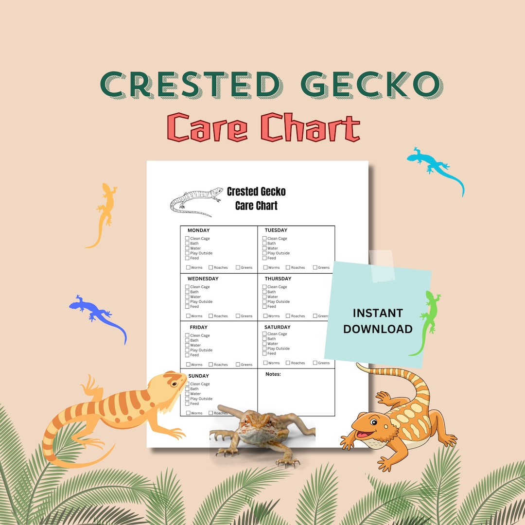 Crested Gecko Care Chart, Instant Download Reptile Log, Reptile Responsibility Record for Adults ...
