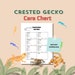 Crested Gecko Care Chart, Instant Download Reptile Log, Reptile ...