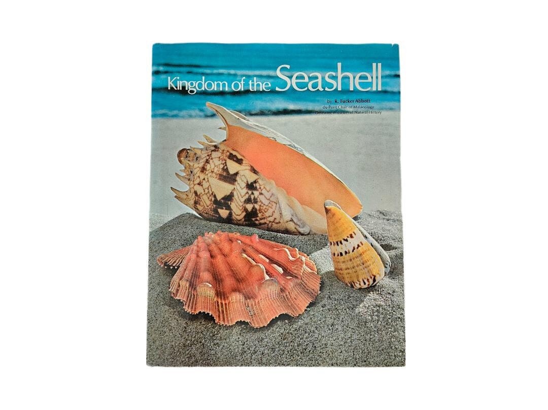 Vintage 1970s Kingdom of the Seashell Book, Vintage Hard Cover Kingdom ...