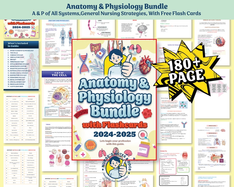Anatomy and Physiology Bundle - Study Guide and Flashcards (PDF ...
