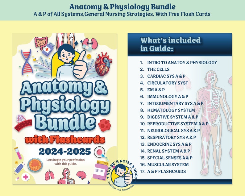 Anatomy and Physiology Bundle - Study Guide and Flashcards (PDF ...