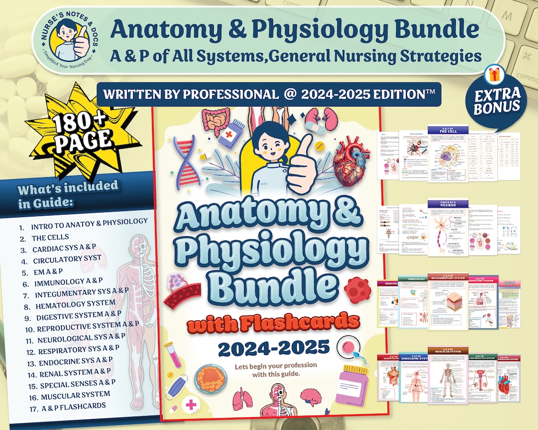 Human Anatomy & Physiology Bundle With Flashcards- Anatomy Study Guide ...