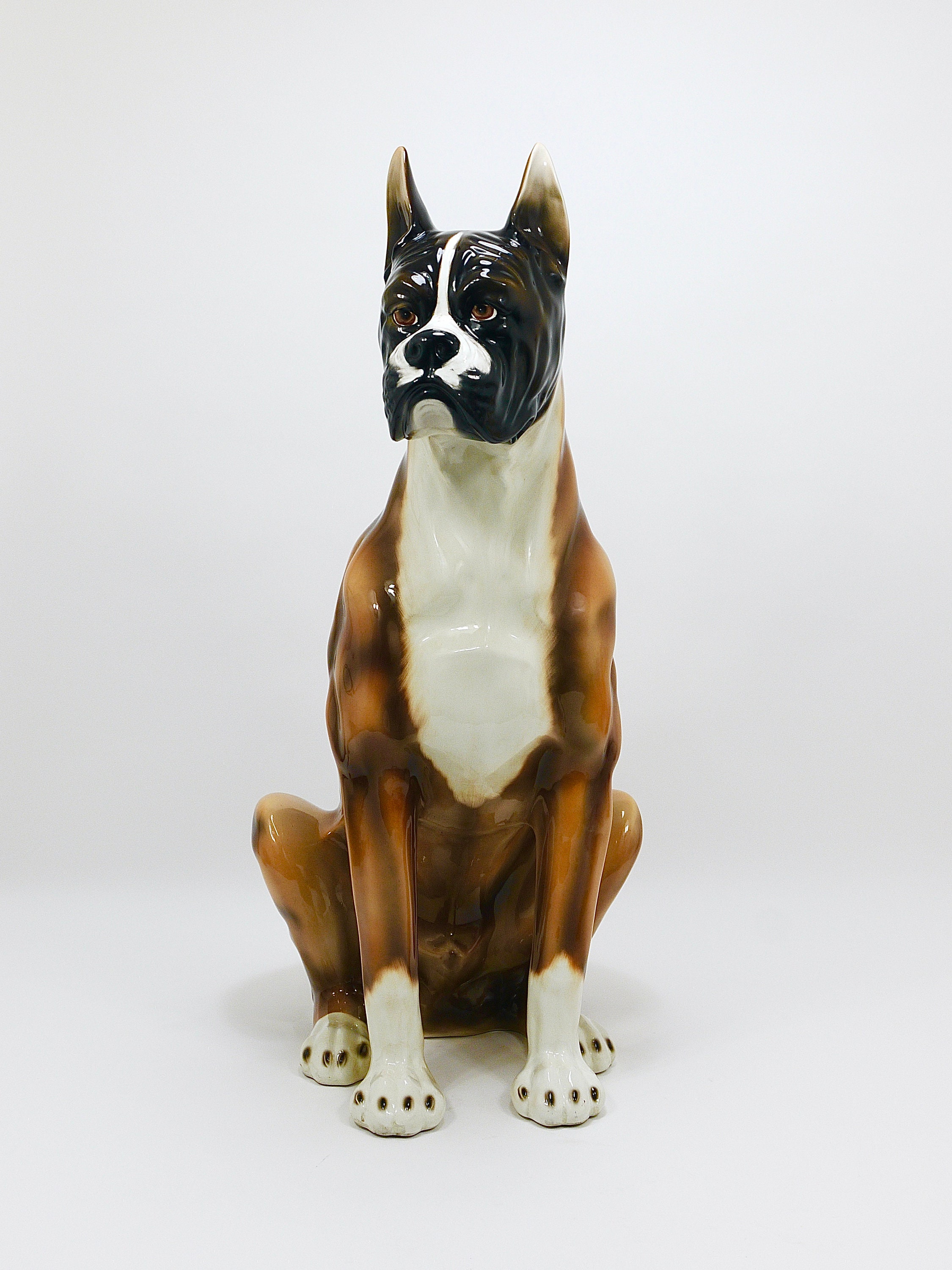 Boxer Dog Life-size Majolica Statue Sculpture, Glazed Ceramic, Italy ...