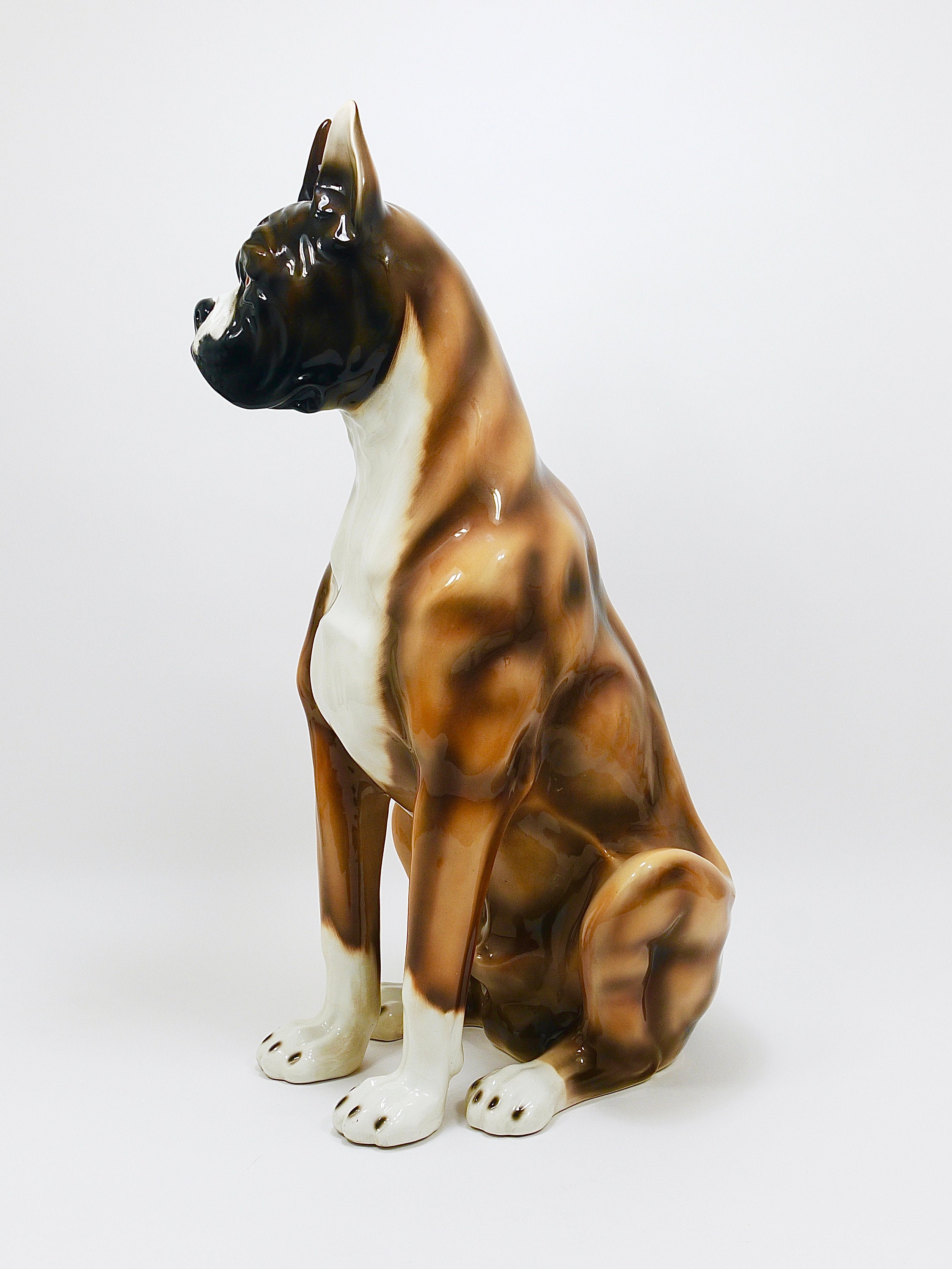 Boxer Dog Life-size Majolica Statue Sculpture, Glazed Ceramic, Italy ...