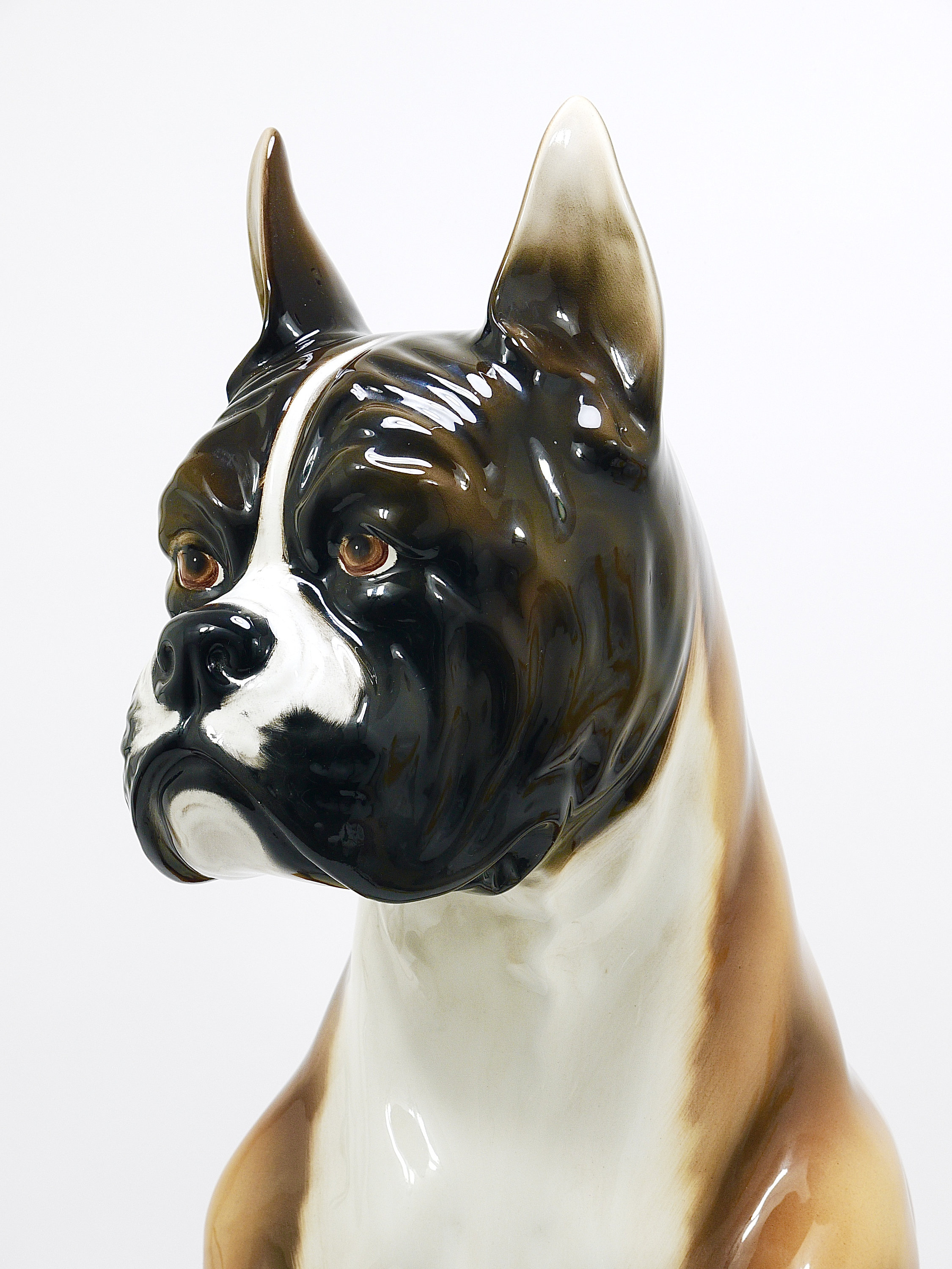 Boxer Dog Life-size Majolica Statue Sculpture, Glazed Ceramic, Italy ...