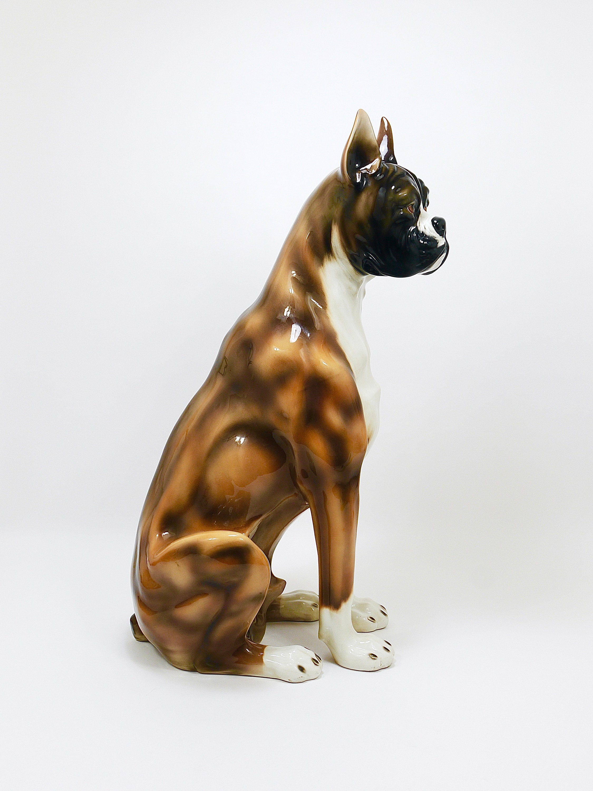 Boxer Dog Life-size Majolica Statue Sculpture, Glazed Ceramic, Italy ...