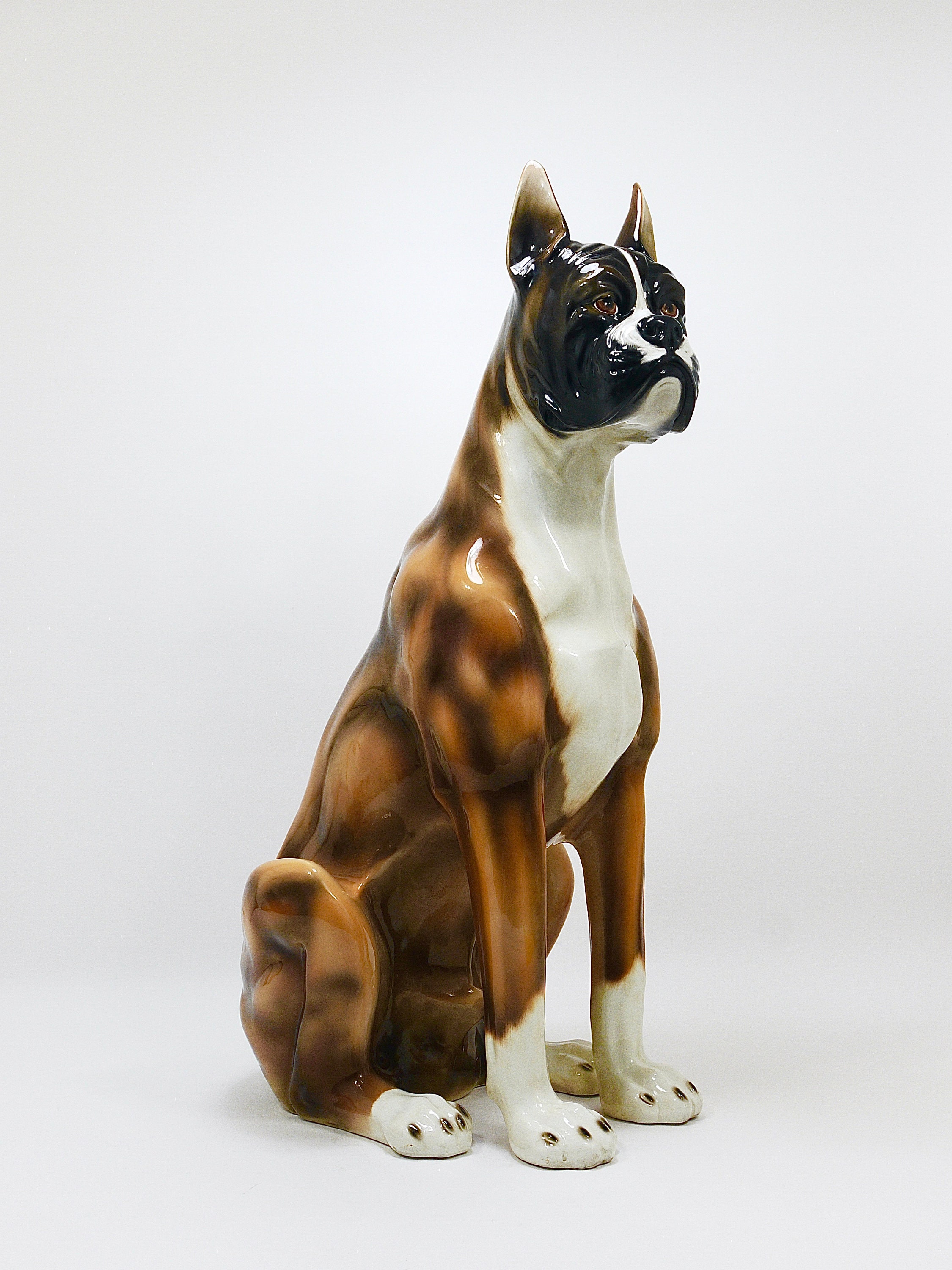 Boxer Dog Life-size Majolica Statue Sculpture, Glazed Ceramic, Italy ...