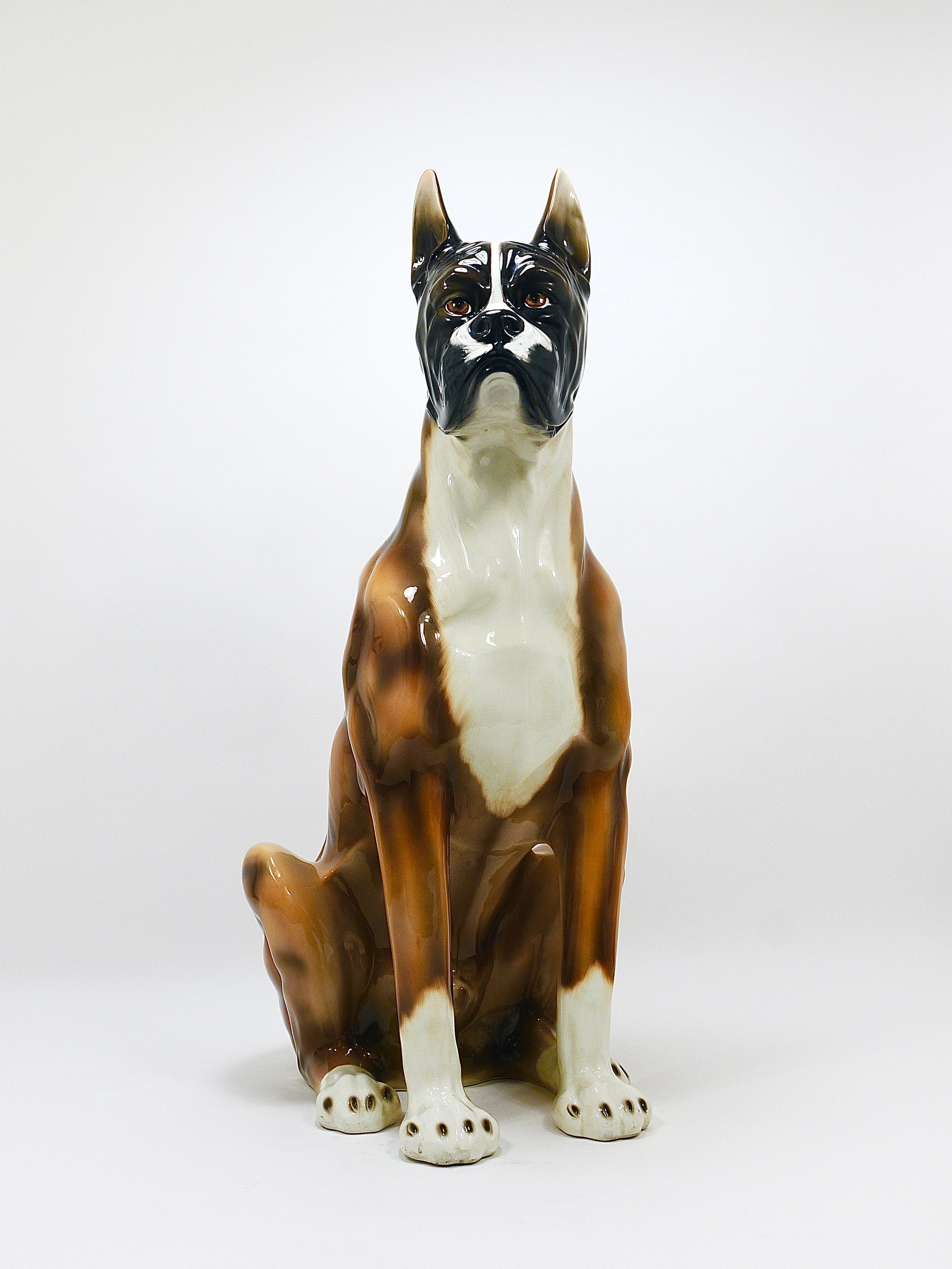 Boxer Dog Life-size Majolica Statue Sculpture, Glazed Ceramic, Italy ...