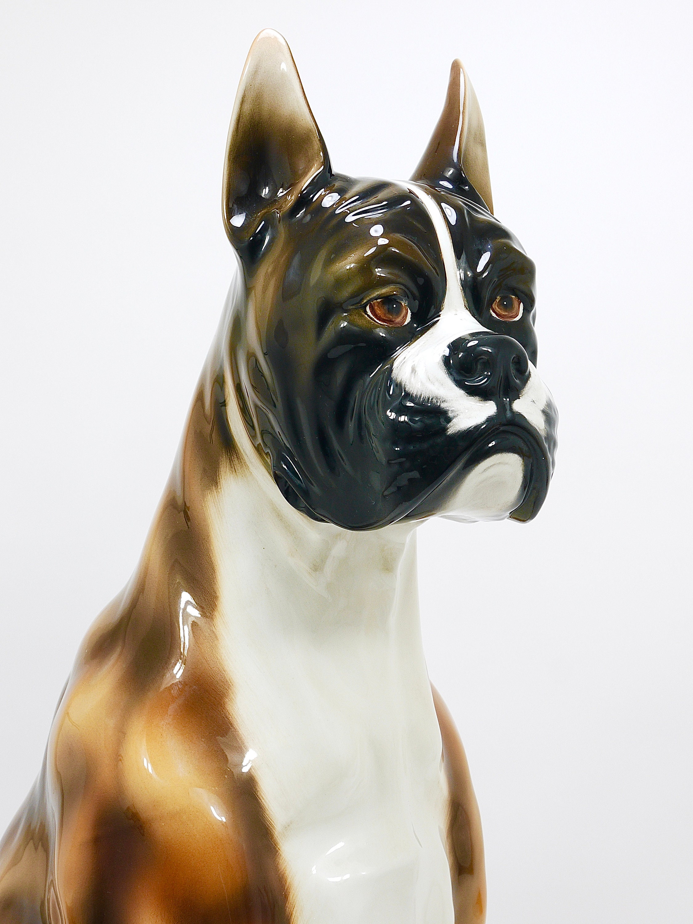 Boxer Dog Life-size Majolica Statue Sculpture, Glazed Ceramic, Italy ...