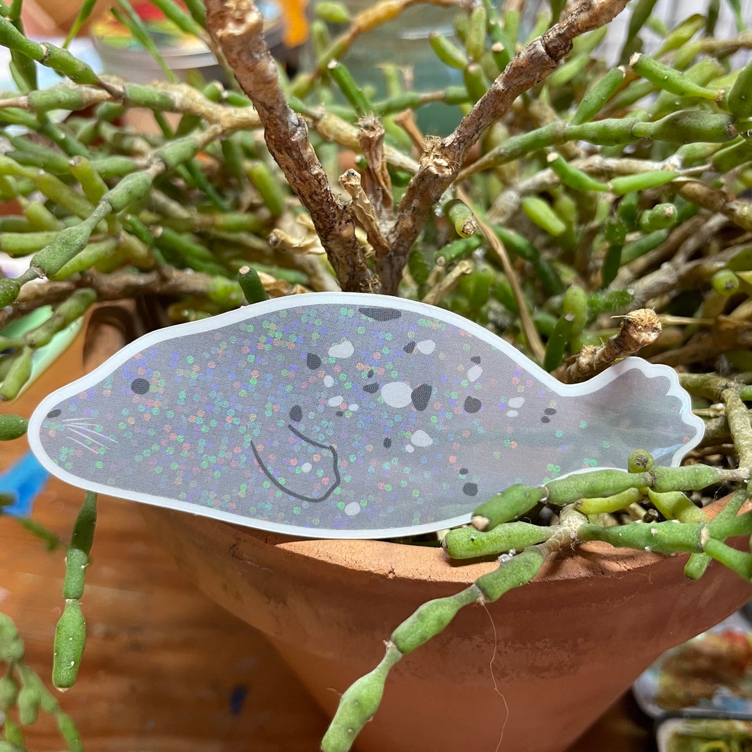 GLITTER Harbor Seal Sticker - Etsy