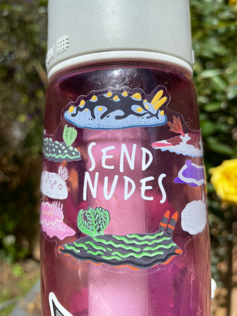Semi Transparent Send Nudes Vinyl Sticker - Etsy