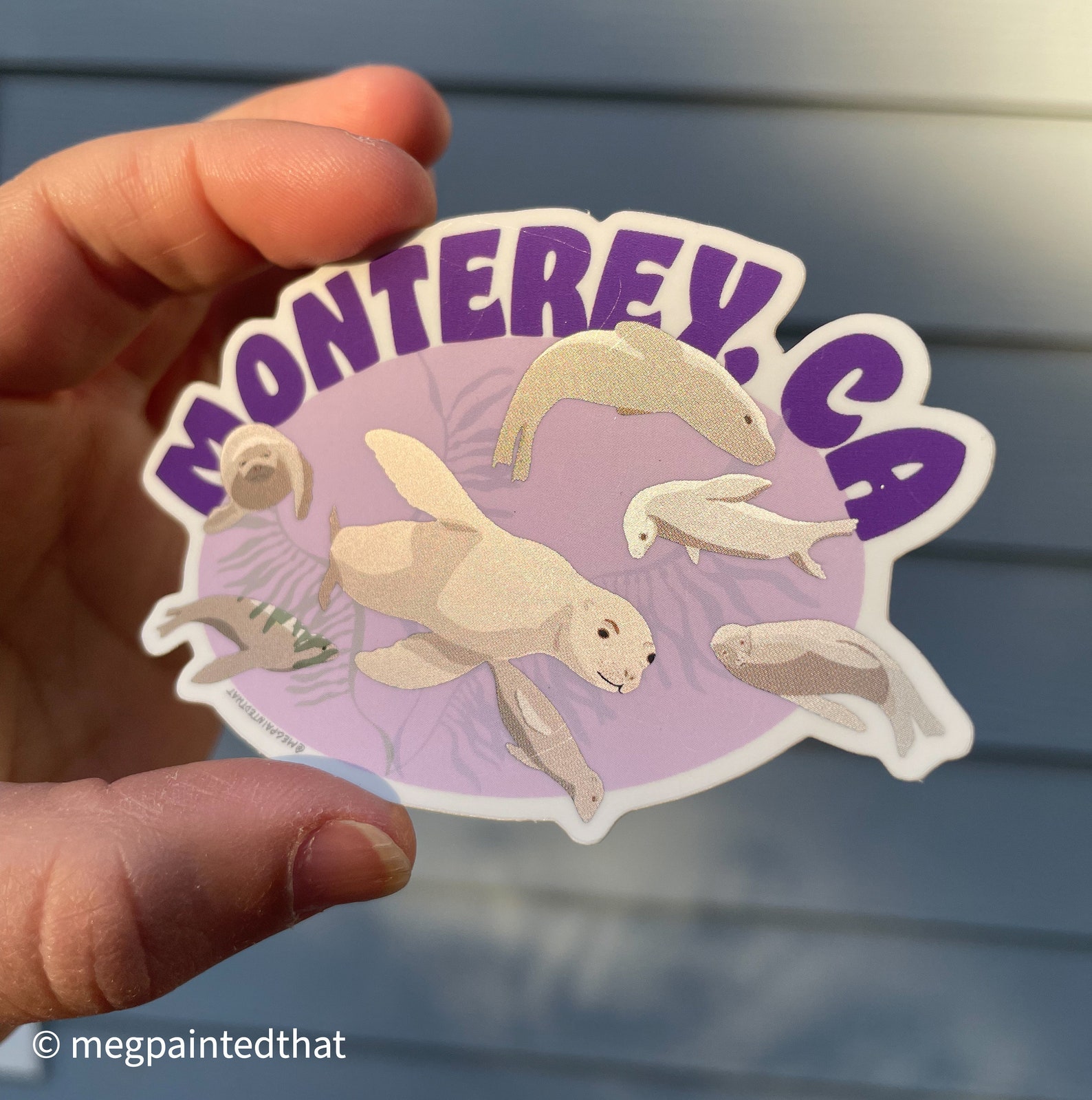 Sea Lion Monterey Sticker Acabado espejo mate - Etsy España