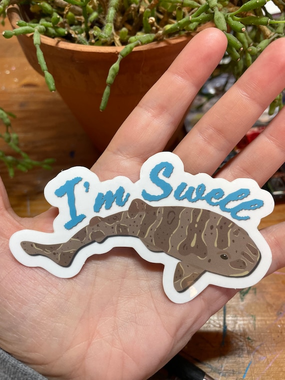 Swell Shark Semi Transparent Vinyl Sticker - Etsy