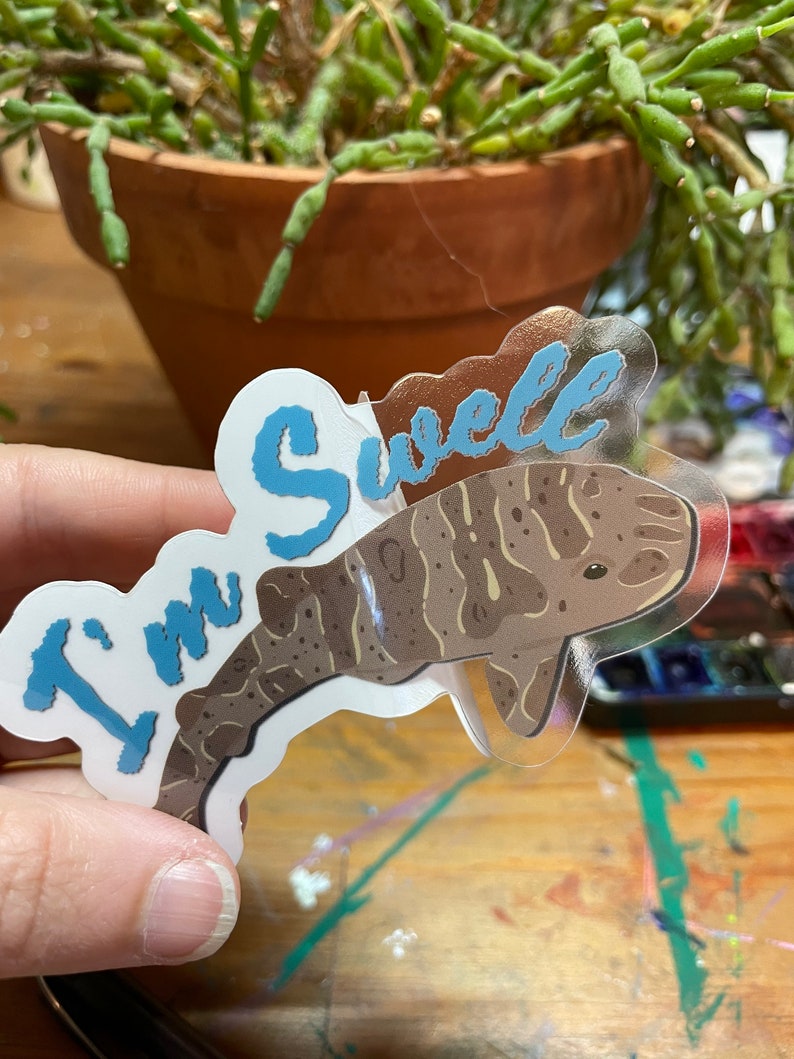 Swell Shark Semi Transparent Vinyl Sticker - Etsy