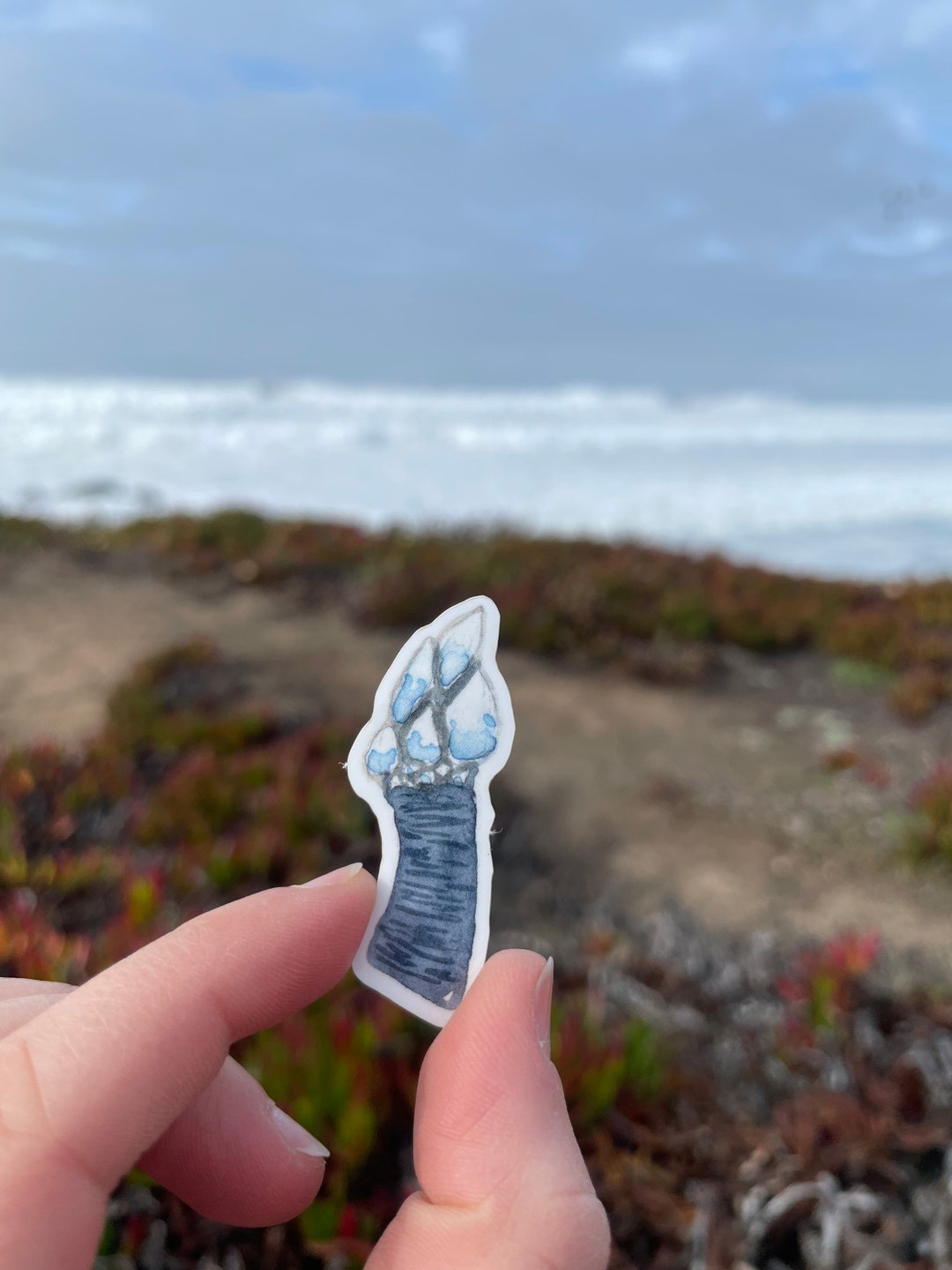 Gooseneck Barnacle Vinyl Sticker - Etsy