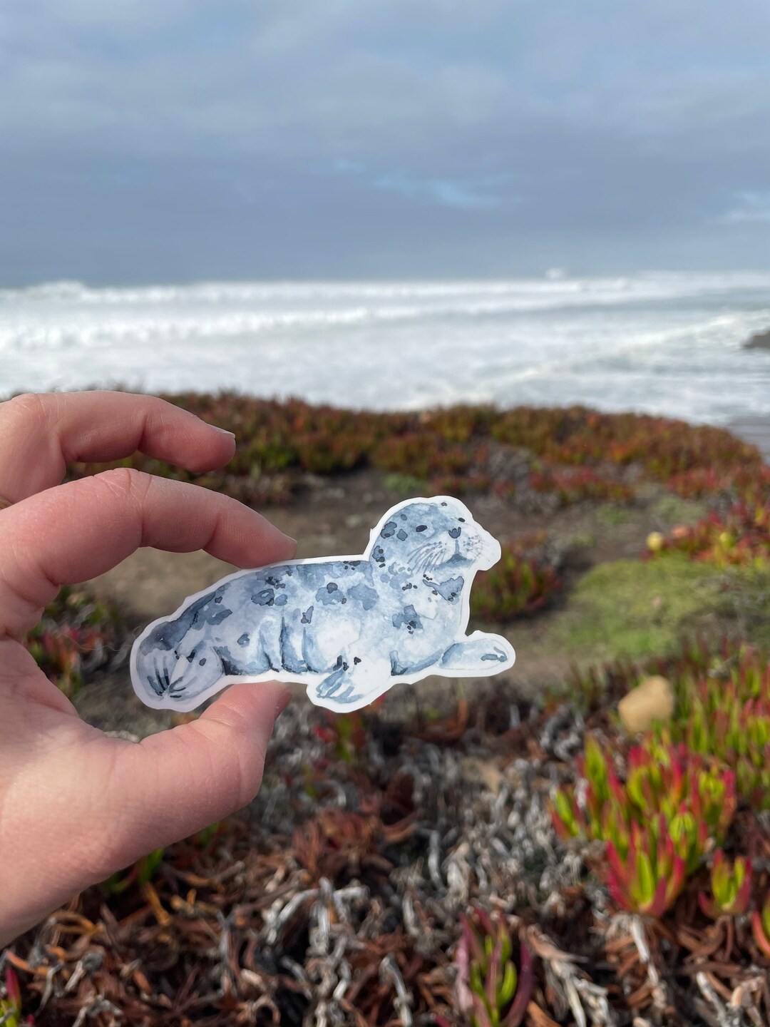 Harbor Seal Vinyl Sticker - Etsy
