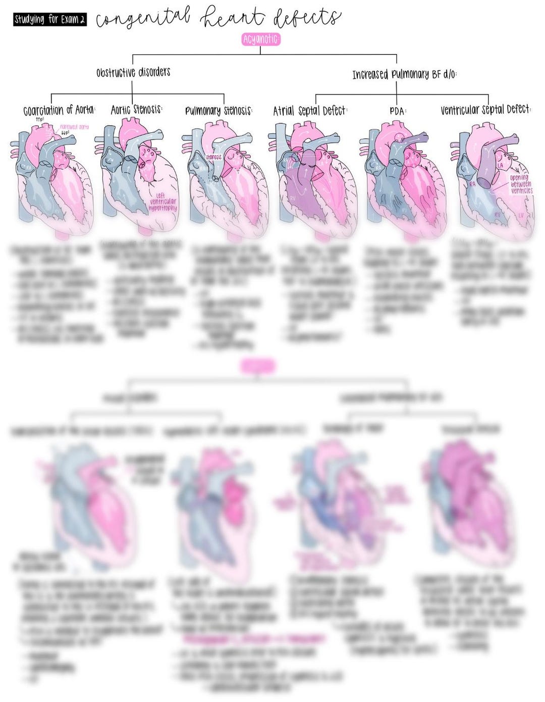 Pediatric Nursing: Congenital Heart Defects - Handwritten Study Cheat ...