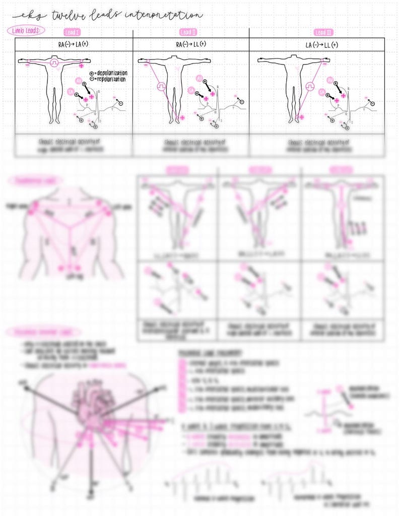 Medical Surgical Nursing II: EKG Basics and Interpretation ...