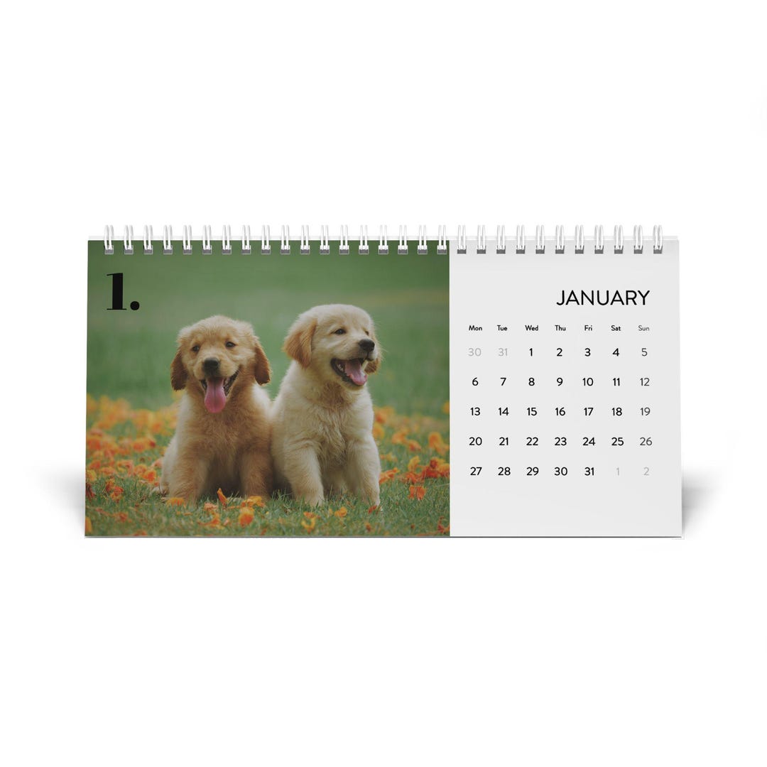 Cute Dog Calendar 2025, Desk Calendar, Dog Lover Gift, Yearly Planner ...
