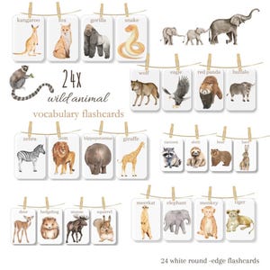 Wild Animal Vocabulary Flashcards - Etsy