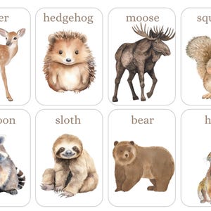 Wild Animal Vocabulary Flashcards - Etsy