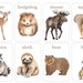 Wild Animal Vocabulary Flashcards - Etsy
