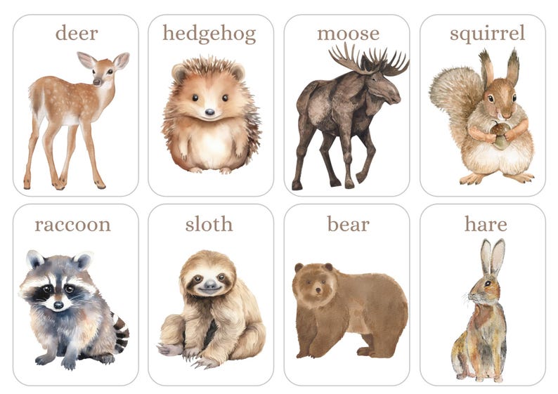 Wild Animal Vocabulary Flashcards - Etsy