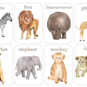 Wild Animal Vocabulary Flashcards - Etsy