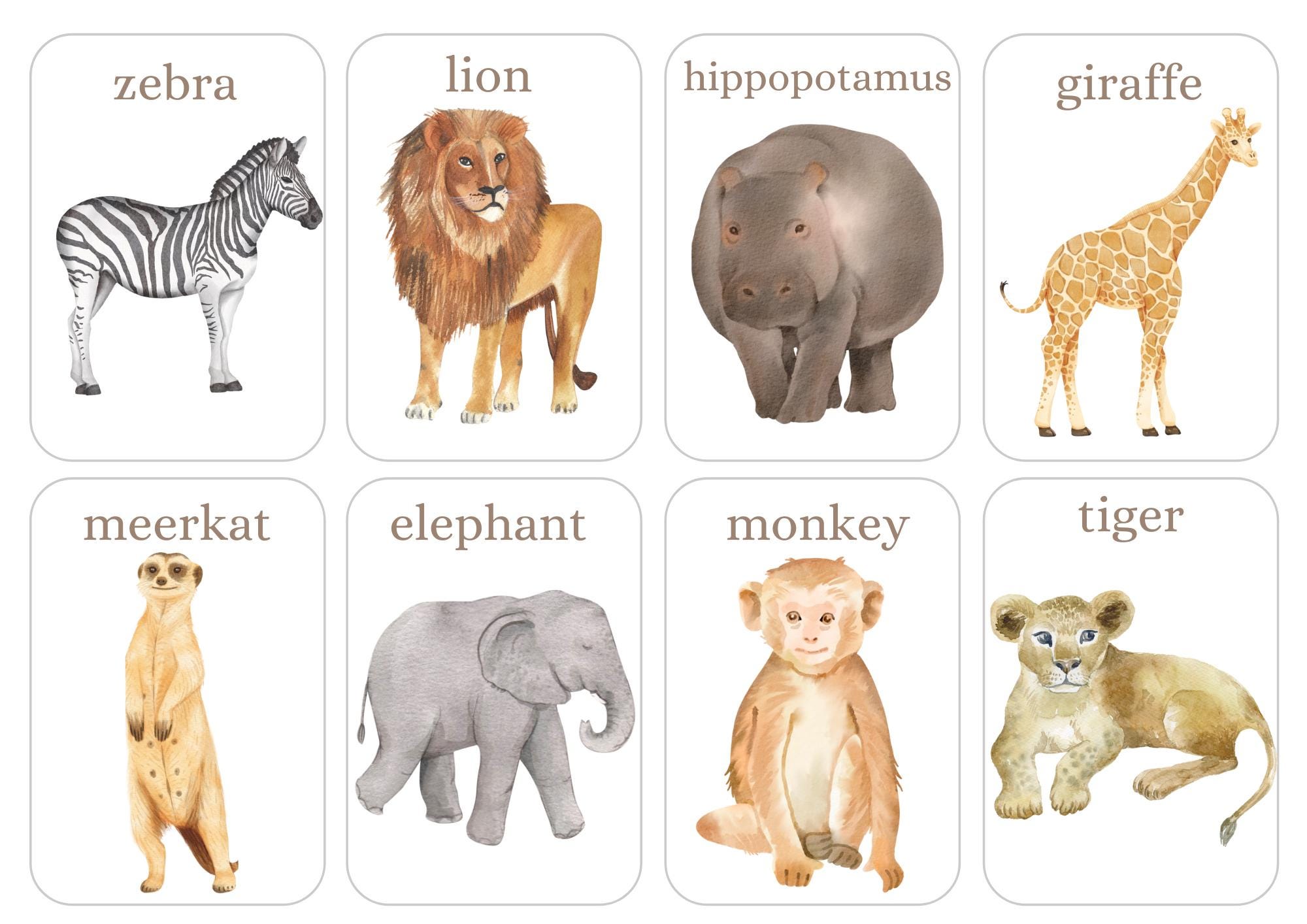 Wild Animal Vocabulary Flashcards - Etsy