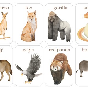 Wild Animal Vocabulary Flashcards - Etsy