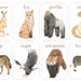 Wild Animal Vocabulary Flashcards - Etsy