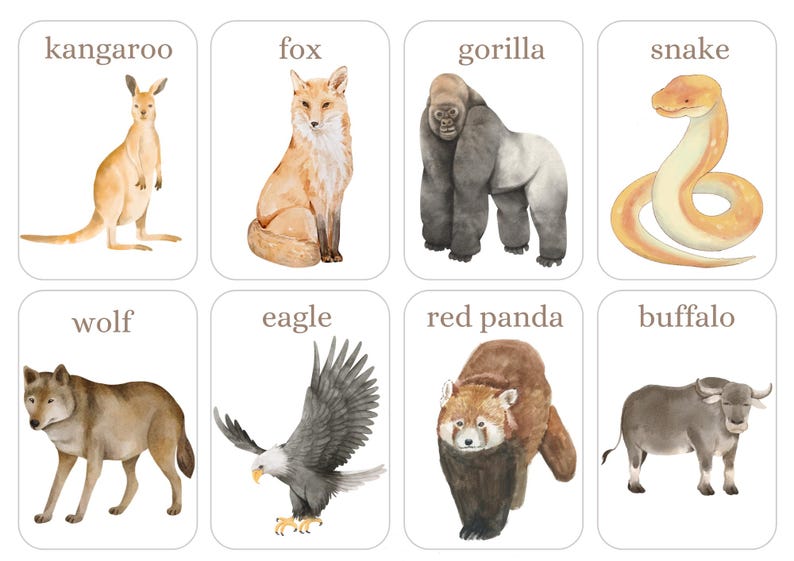 Wild Animal Vocabulary Flashcards - Etsy