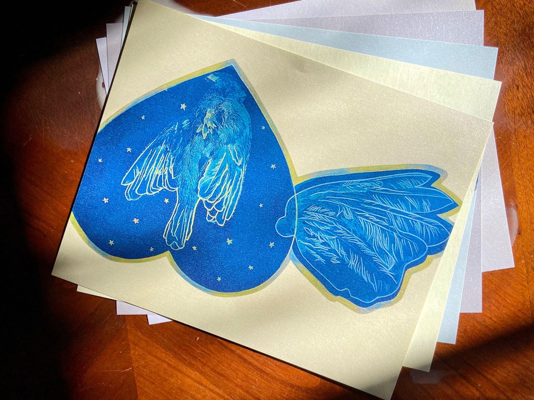 Bird Feathers and Wings Cyanotype Print Southern Gothic Bird ...